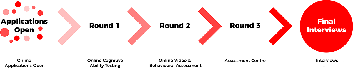 The Selection Process